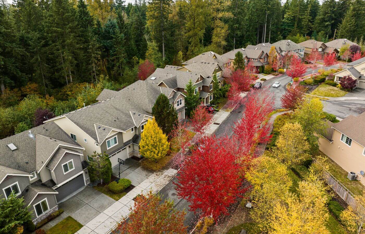 Why Should You Seal Your Driveway In The Fall | Driveway Sealing